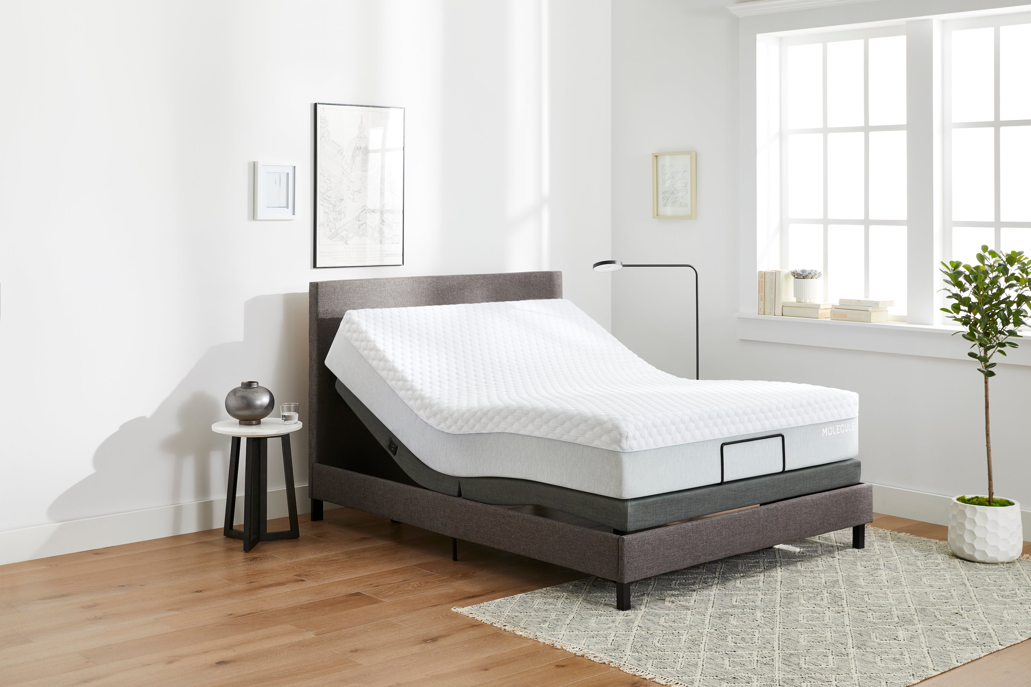 Adjustable Bed Frame & Base - Read Reviews | MOLECULE